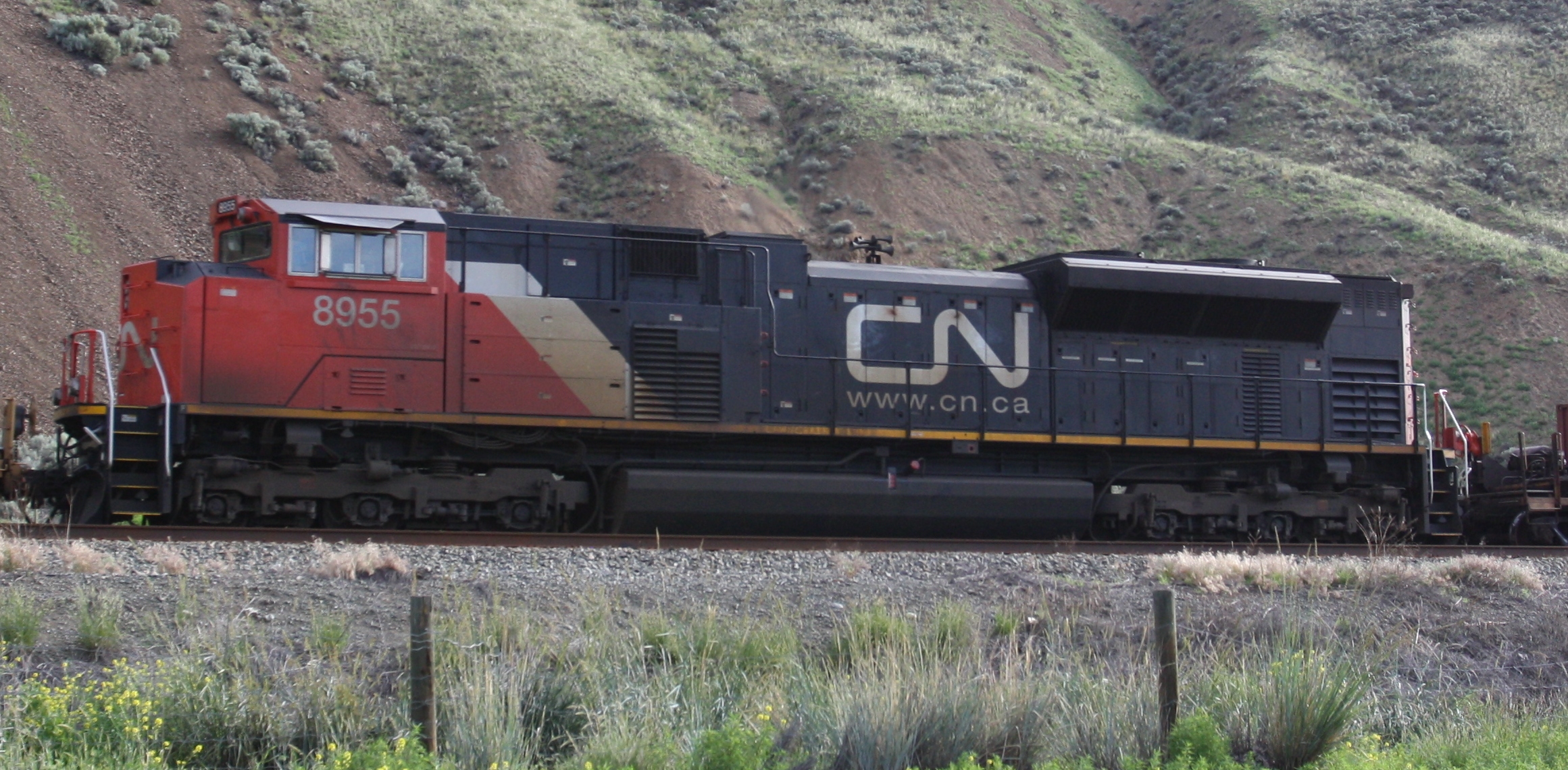 Steel Wheels Train Photos: CN 8955